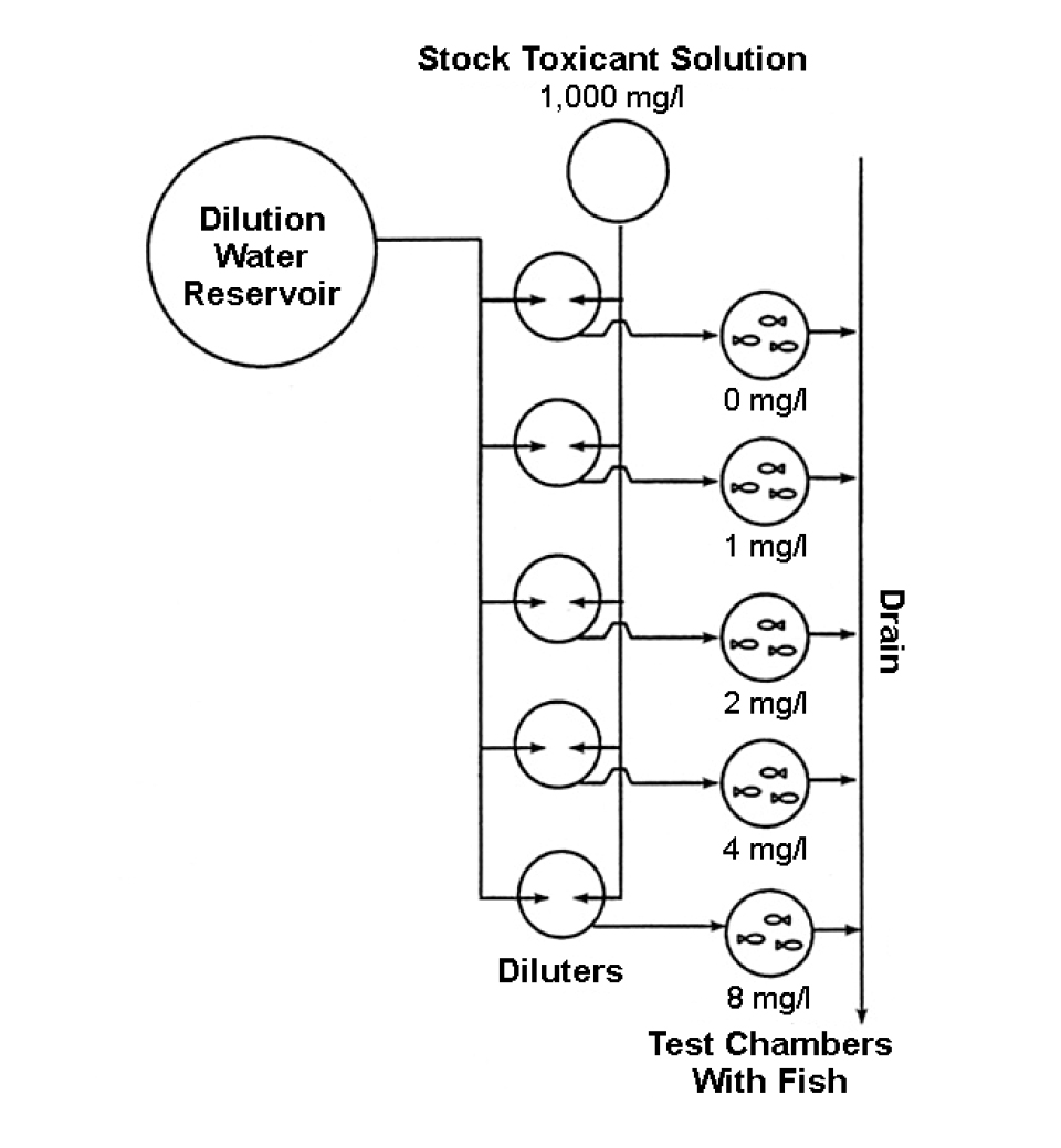 LC50 calculations help predict toxicity - Responsible Seafood Advocate