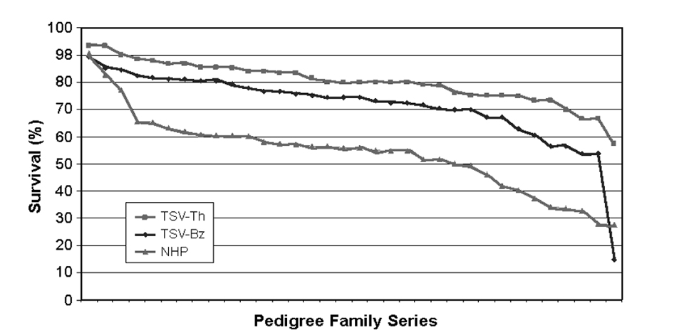Selective breeding for shrimp: Adapting to multiple pathogens ...