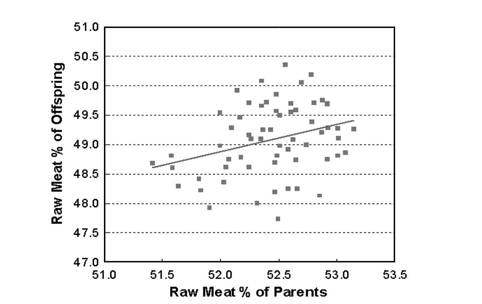 Potential of genetic selection for shrimp carcass, meat traits ...