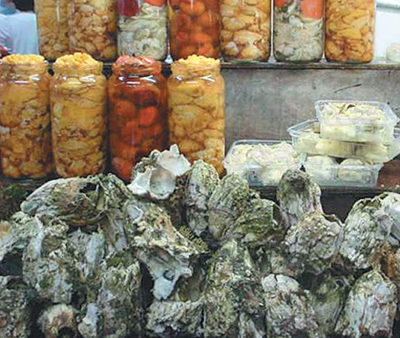 Aquaculture diversification in Chile: Potential of giant barnacles ...