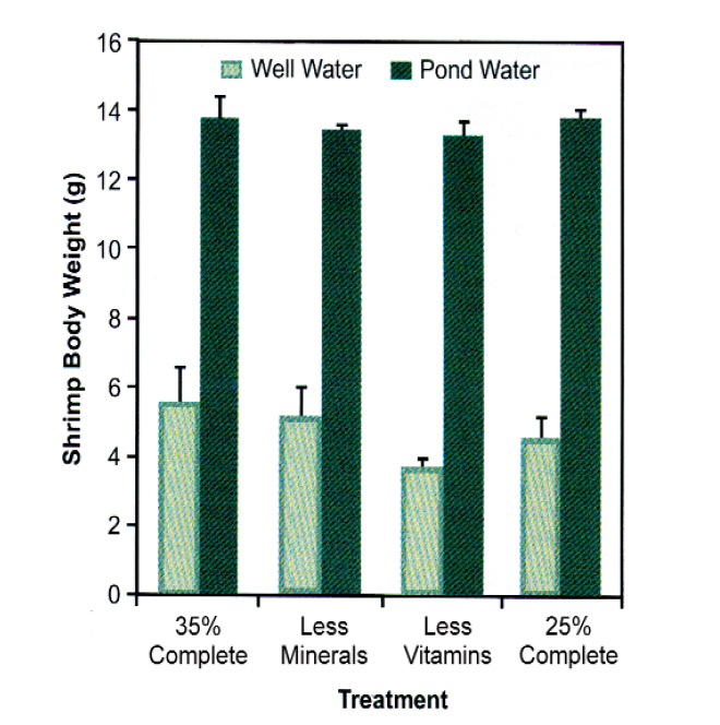 Feeding strategies vary for shrimp producers - Responsible Seafood Advocate