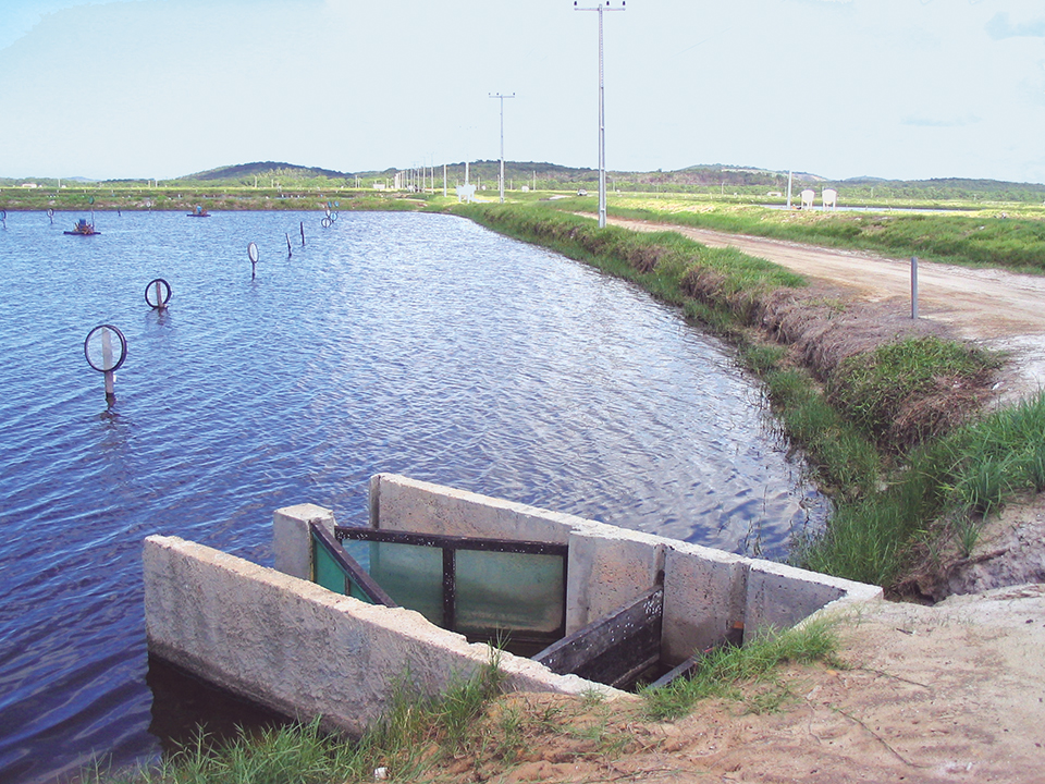 Measuring water flow - Responsible Seafood Advocate