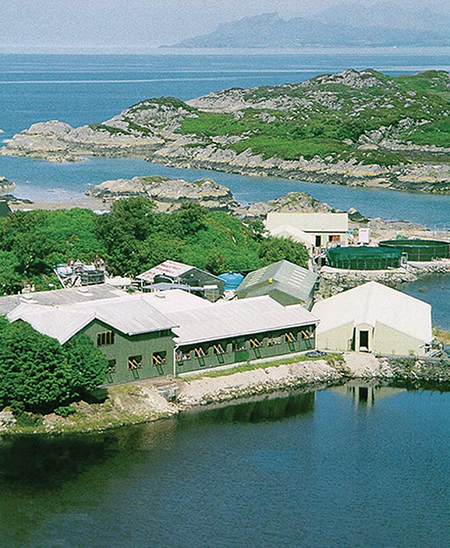 Northcod project aims for sustainable, profitable cod farming in ...