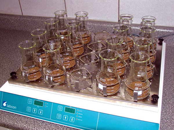 Measuring shrimp feed water stability - Responsible Seafood Advocate