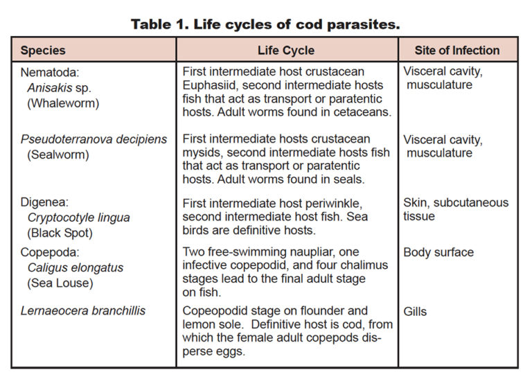 Parasite management important to future cod aquaculture in Scotland ...