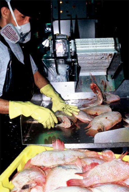 ISO 22000:2005 food safety system integrates HACCP - Responsible ...
