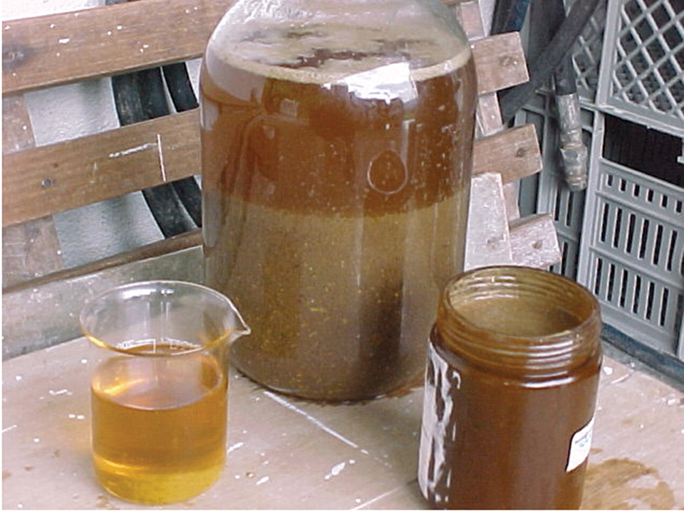 Hydrolyzed fish: Alternative ingredient for aquafeeds - Responsible ...