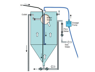 Norway's scallop industry moves toward large-scale larval culture ...