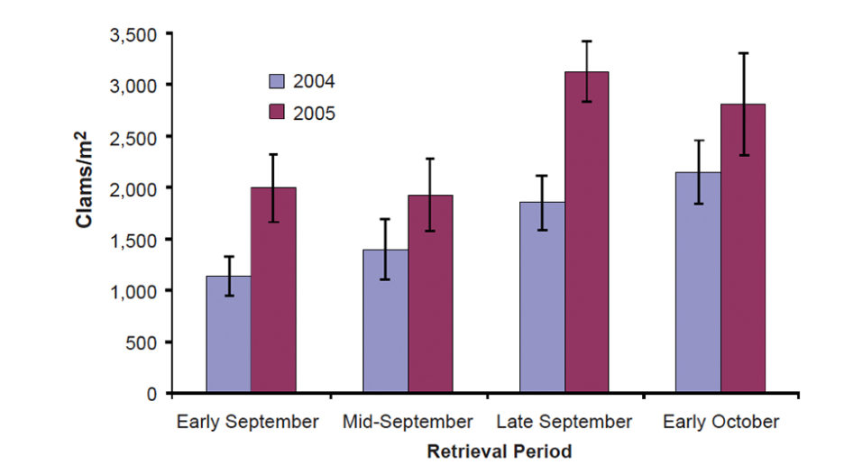 Simple solution: Turf mats collect soft-shell clam spat - Responsible ...