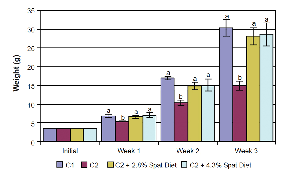 Formulated diets for bivalve spat replace algae in hatchery trials ...