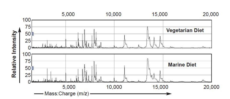 Protein profiling: Evaluating the condition of farmed Atlantic salmon ...