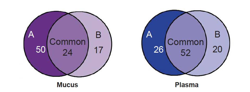 Protein profiling: Evaluating the condition of farmed Atlantic salmon ...