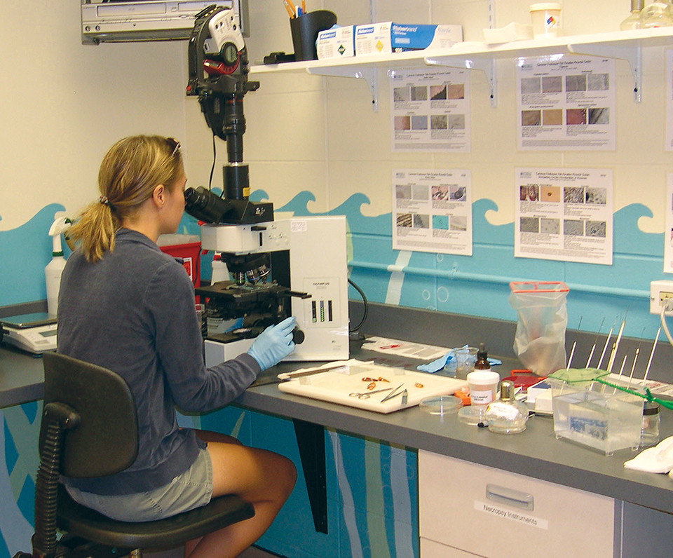 Health management in recirculating systems - Responsible Seafood Advocate