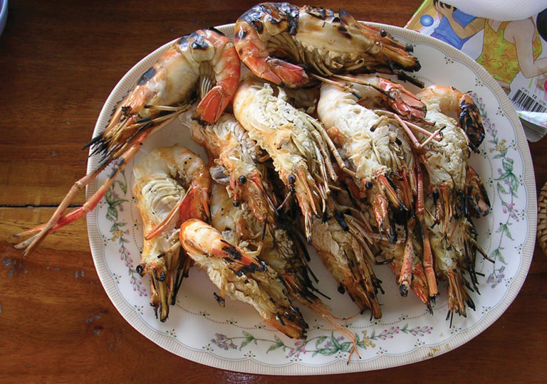 Freshwater prawn farming in Thailand - Responsible Seafood Advocate