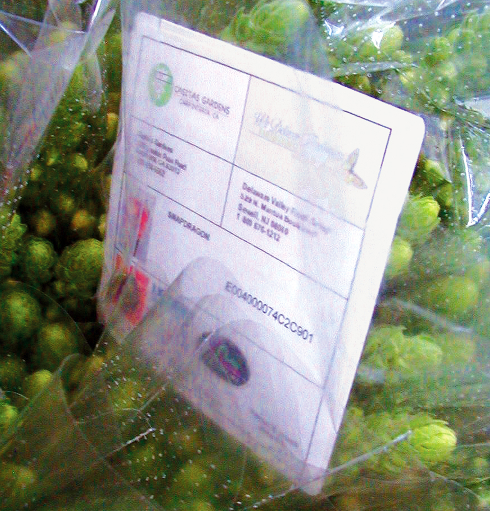 Shelf life dating for seafood - Responsible Seafood Advocate