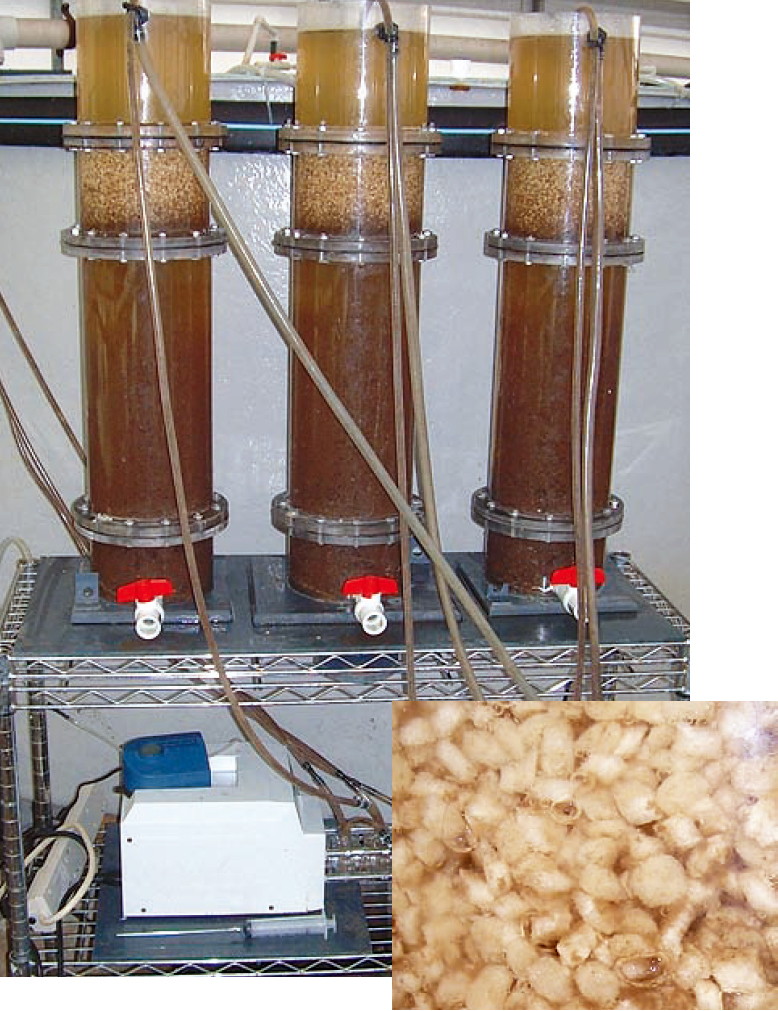 Self-regulating PHA technology offers denitrification for marine ...