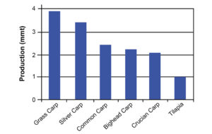 Freshwater fish culture in China - Responsible Seafood Advocate