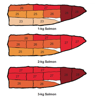 ‘Quality map’ for coho salmon fillets identifies color, lipid ...