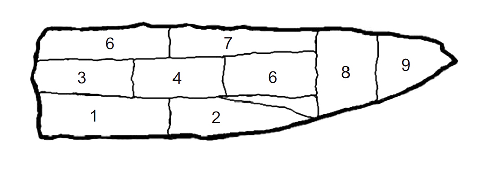 ‘Quality map’ for coho salmon fillets identifies color, lipid ...