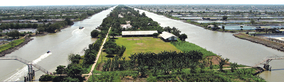 Reengineering Dipasena - Responsible Seafood Advocate