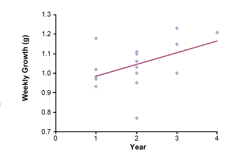 Genetic improvement in Brazil - Responsible Seafood Advocate