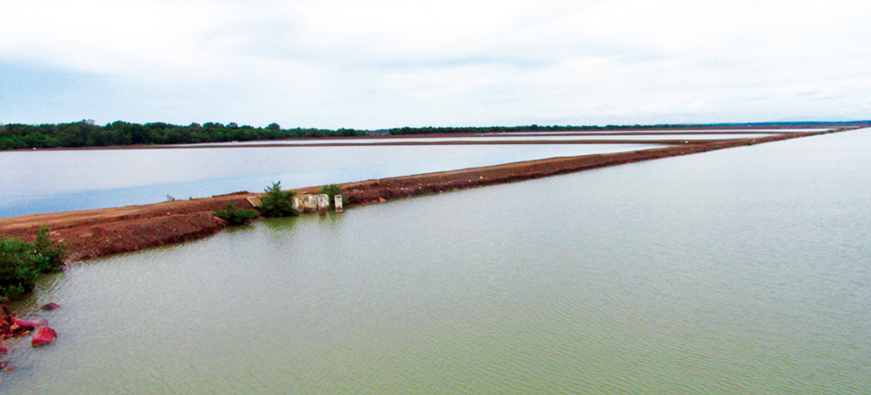 Salinity balance key to culture success - Responsible Seafood Advocate