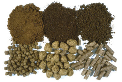 Food for thought: Feed management strategies, part 1 - Responsible ...