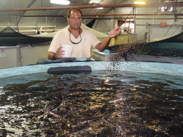 Food for thought: Feed management strategies, part 2 - Responsible ...