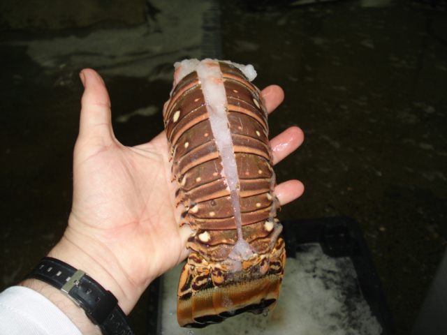 Value-added shrimp products - Responsible Seafood Advocate