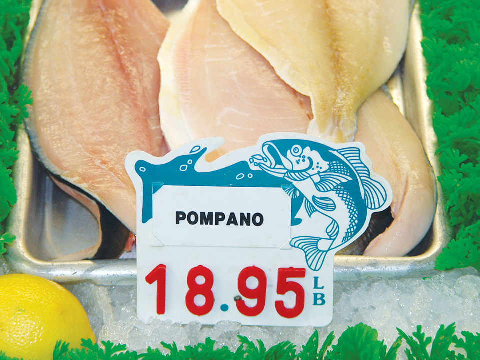 Pompano reared to market size in RAS - Responsible Seafood Advocate