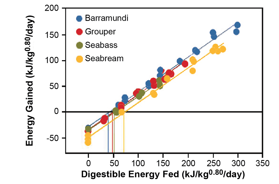By-the-numbers nutritional bioenergetics for optimal feeding ...