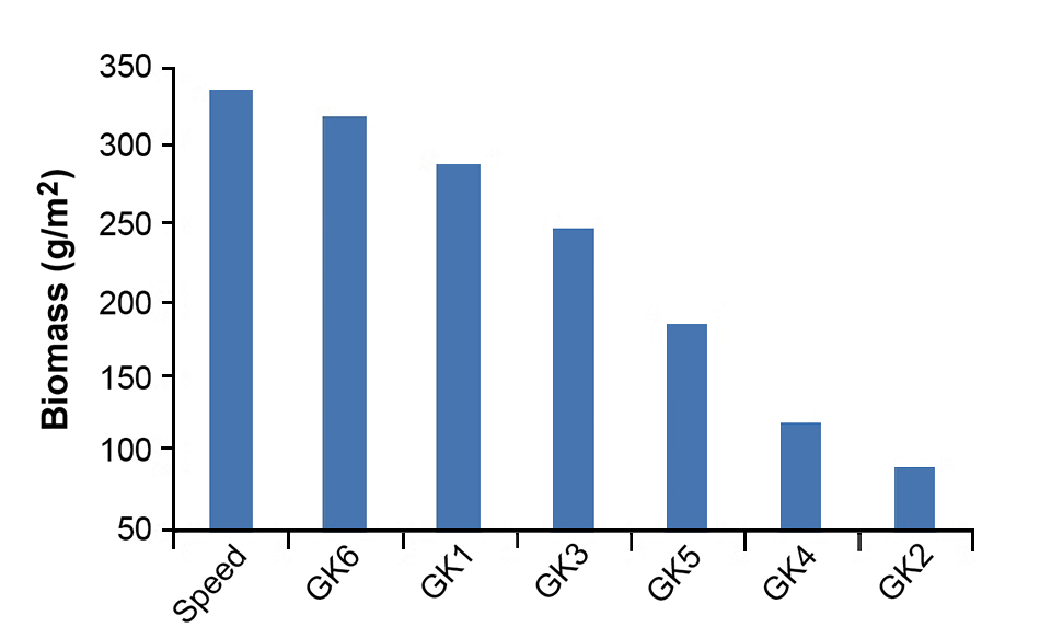 Field performance of imported SPF shrimp in Brazil - Responsible ...