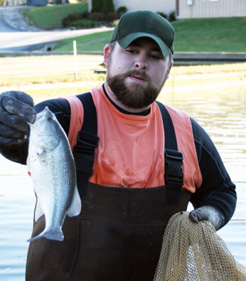 Feeds, feeding methods advance for largemouth bass - Responsible ...