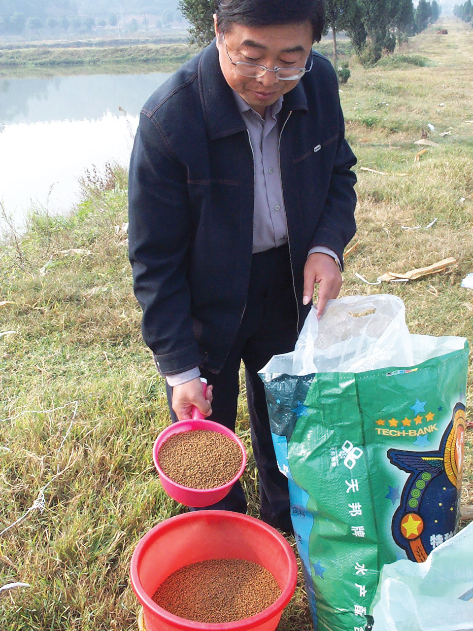 Soy protein concentrate replaces fishmeal in fingerling test diets in ...