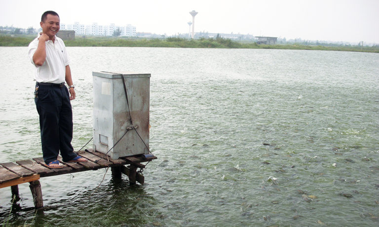 The changing face of pond aquaculture in China - Responsible Seafood ...