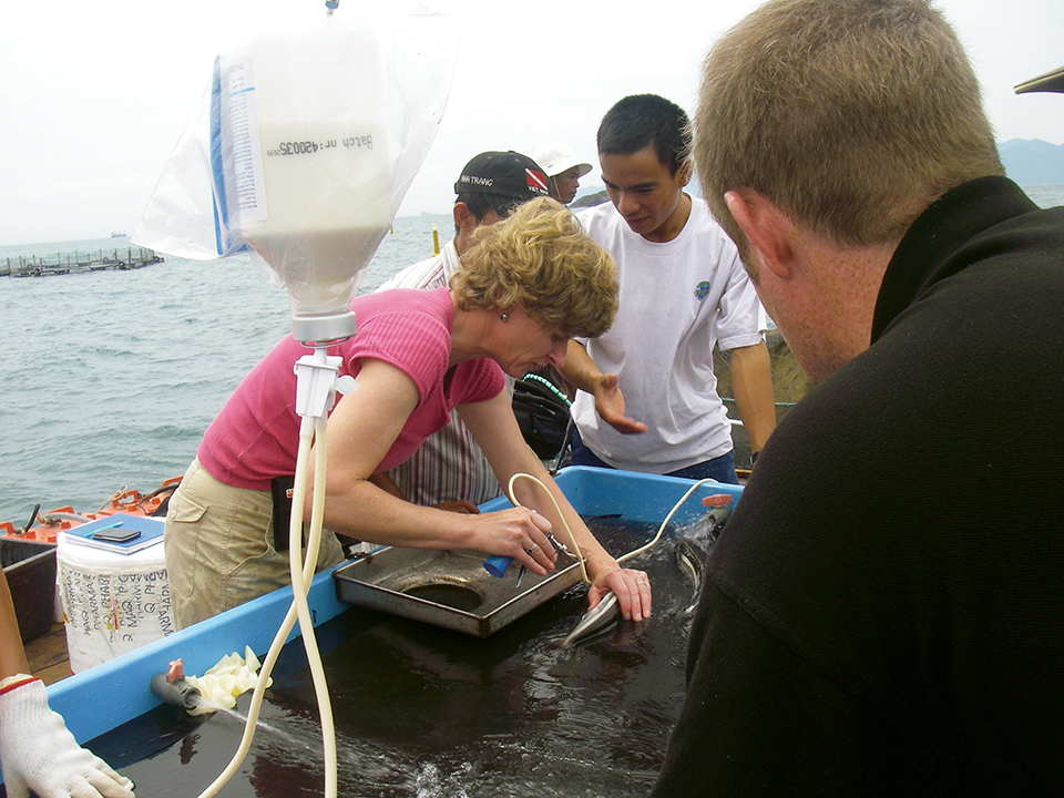 Fish vaccination: Success with salmon expanding - Responsible Seafood ...