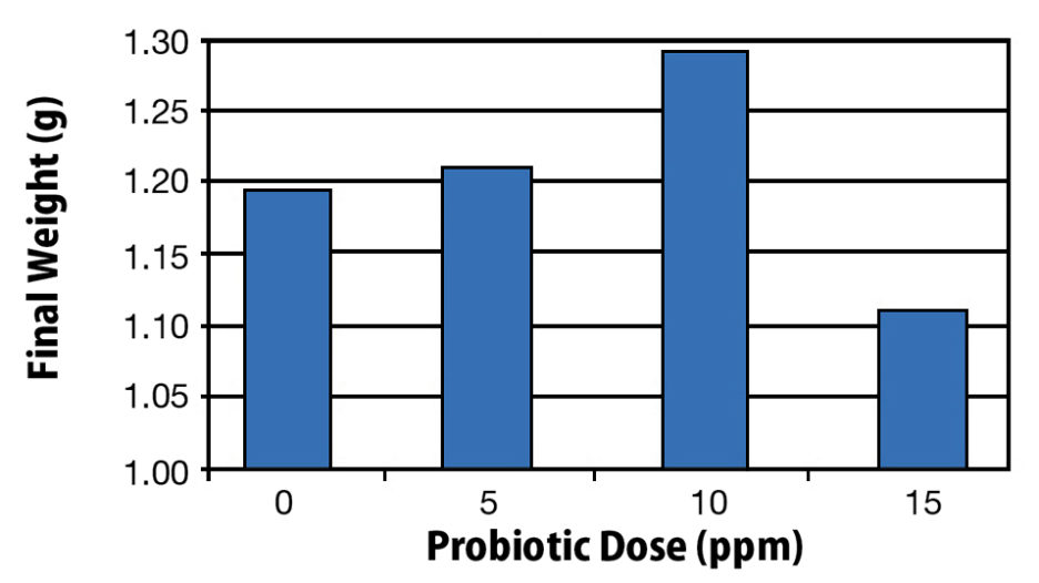 Study seeks optimum probiotic dosing for fish fry - Responsible Seafood ...