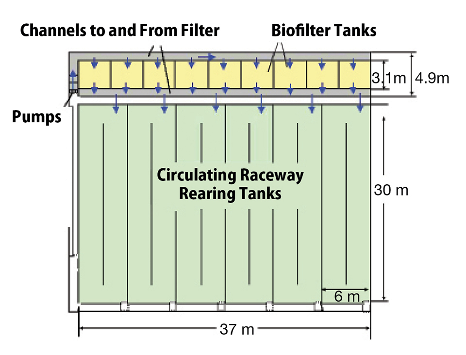Intensive system biofilter provides effective suspended solids ...