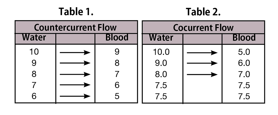 Heat recovery: Countercurrent approach provides greater efficiency ...