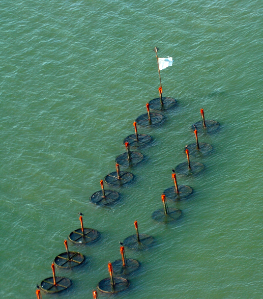 Shellfish innovations in the Netherlands: Mussel seed collectors ...