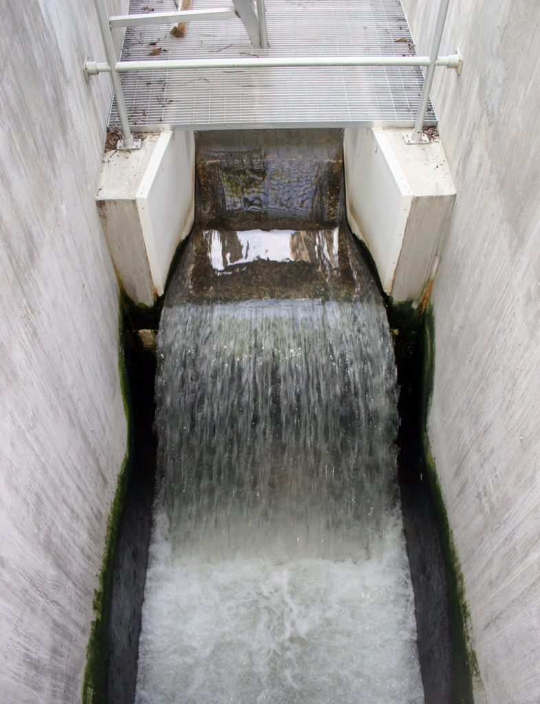 Wastewater reuse supports paddlefish project - Responsible Seafood Advocate