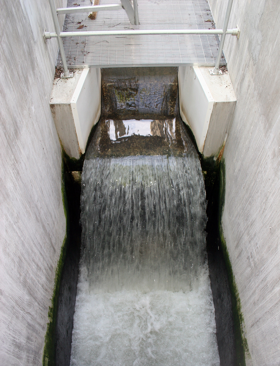 Wastewater reuse supports paddlefish project - Responsible Seafood Advocate