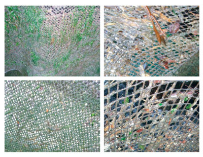 Ultrasound technology controls algae, biofilm growth - Responsible ...