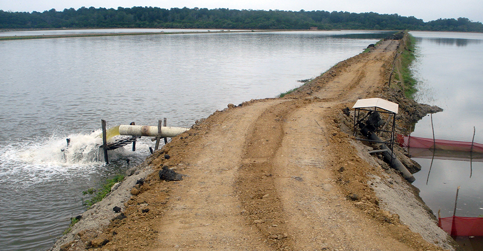 New recirculating systems offer efficient, responsible production ...