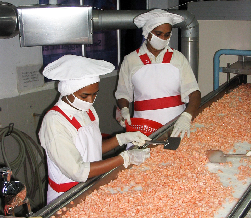 Proper cooking, storage yield safe seafood - Responsible Seafood Advocate