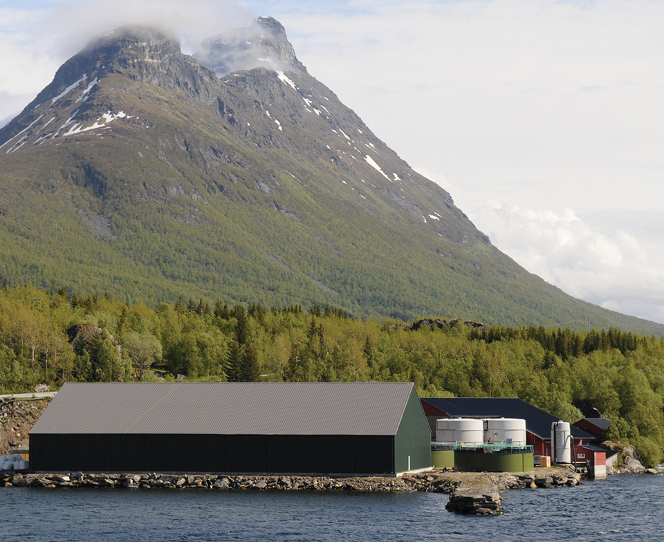 New Norwegian RAS farm produces salmon smolts - Responsible Seafood ...