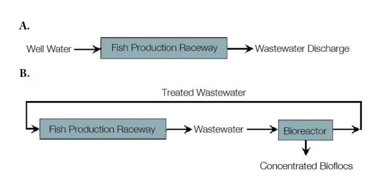 Suspended-growth biological processes clean RAS wastewater ...