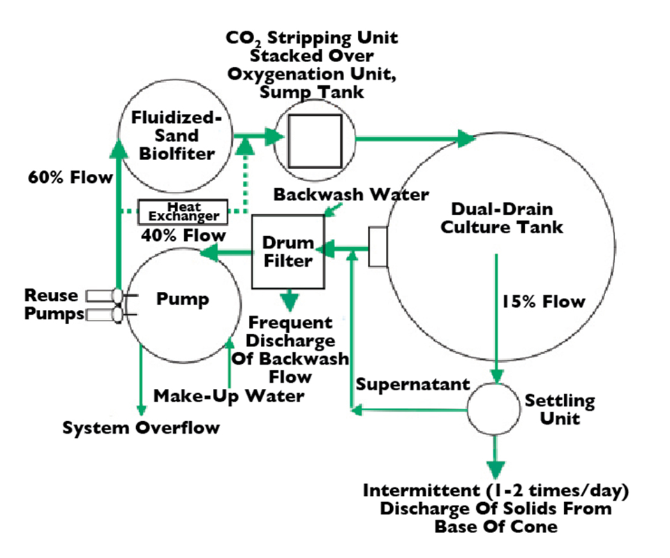Rainbow trout attain good growth, health in tank-based recirculating ...