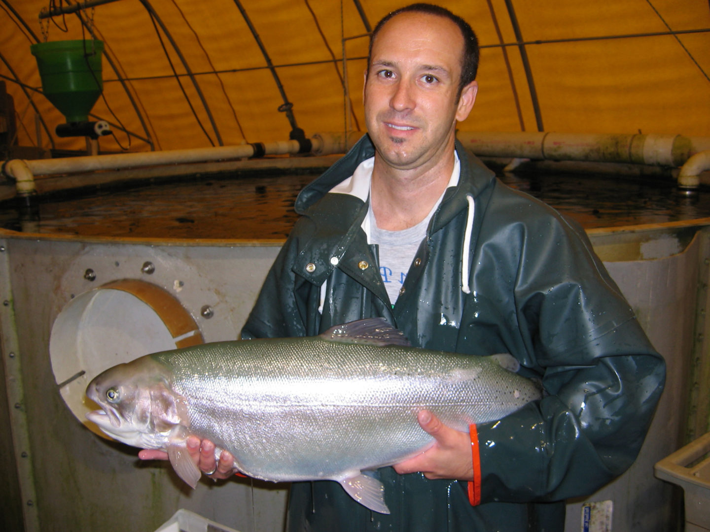 Rainbow trout attain good growth, health in tank-based recirculating ...