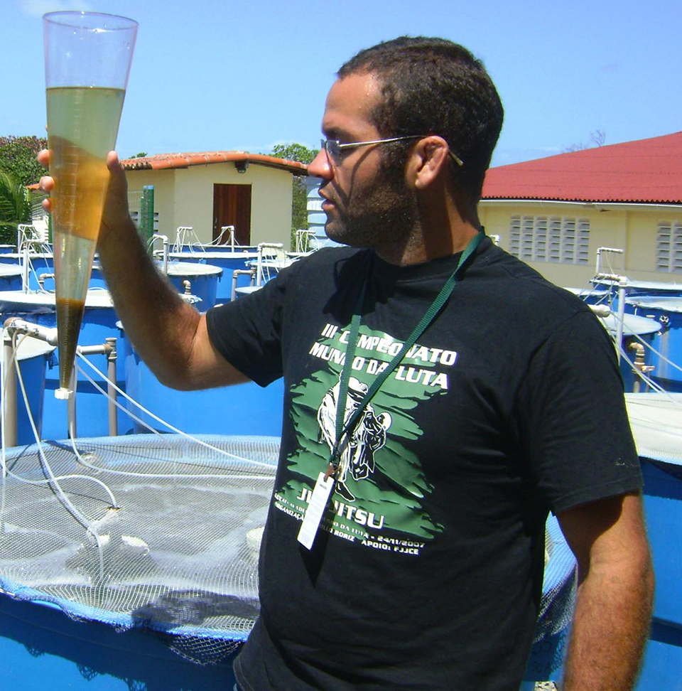 Microbial flocs spare protein in white shrimp diets - Responsible ...